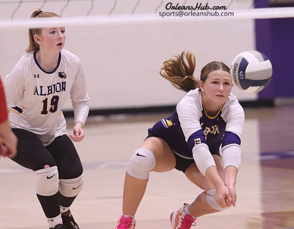 Local Sports - Community News, Events, & Information | Orleans Hub