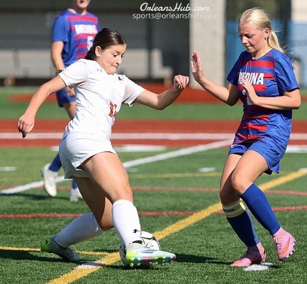 Local Sports - Community News, Events, & Information | Orleans Hub