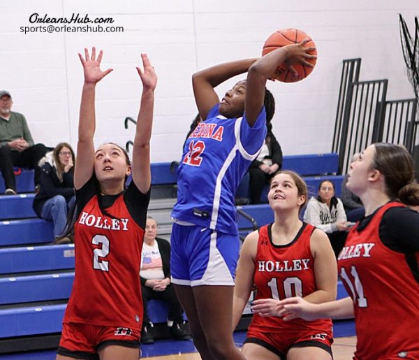 Big quarter sparks Medina to win over Holley in the opening round of the Kendall Tourney ...