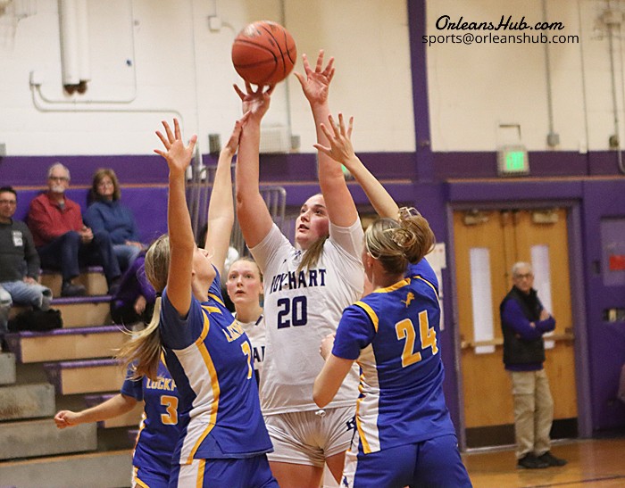 Local Sports - Community News, Events, & Information | Orleans Hub